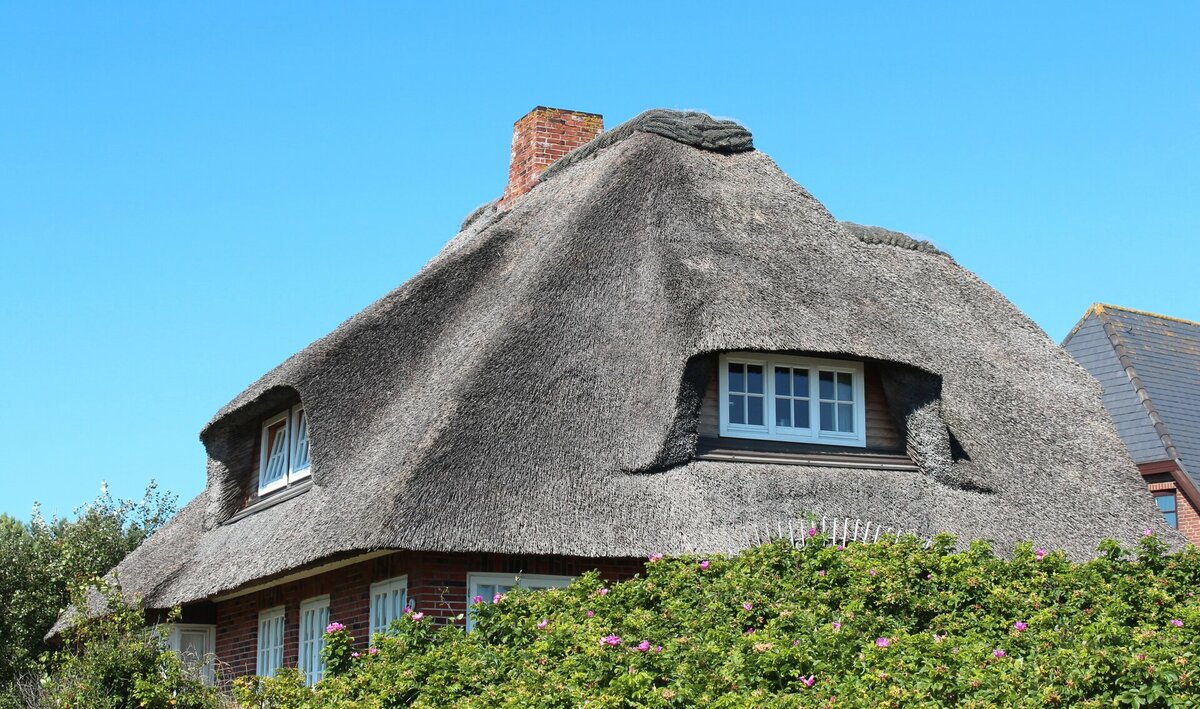 Was ist ein Reetdach? Material, Einsatzbereiche und Vorteile: Town ...